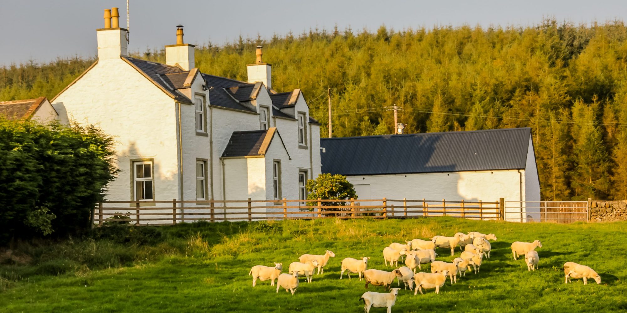 Loch Arthur Farm Shop and Café, Beeswing - Barwhillanty Estate